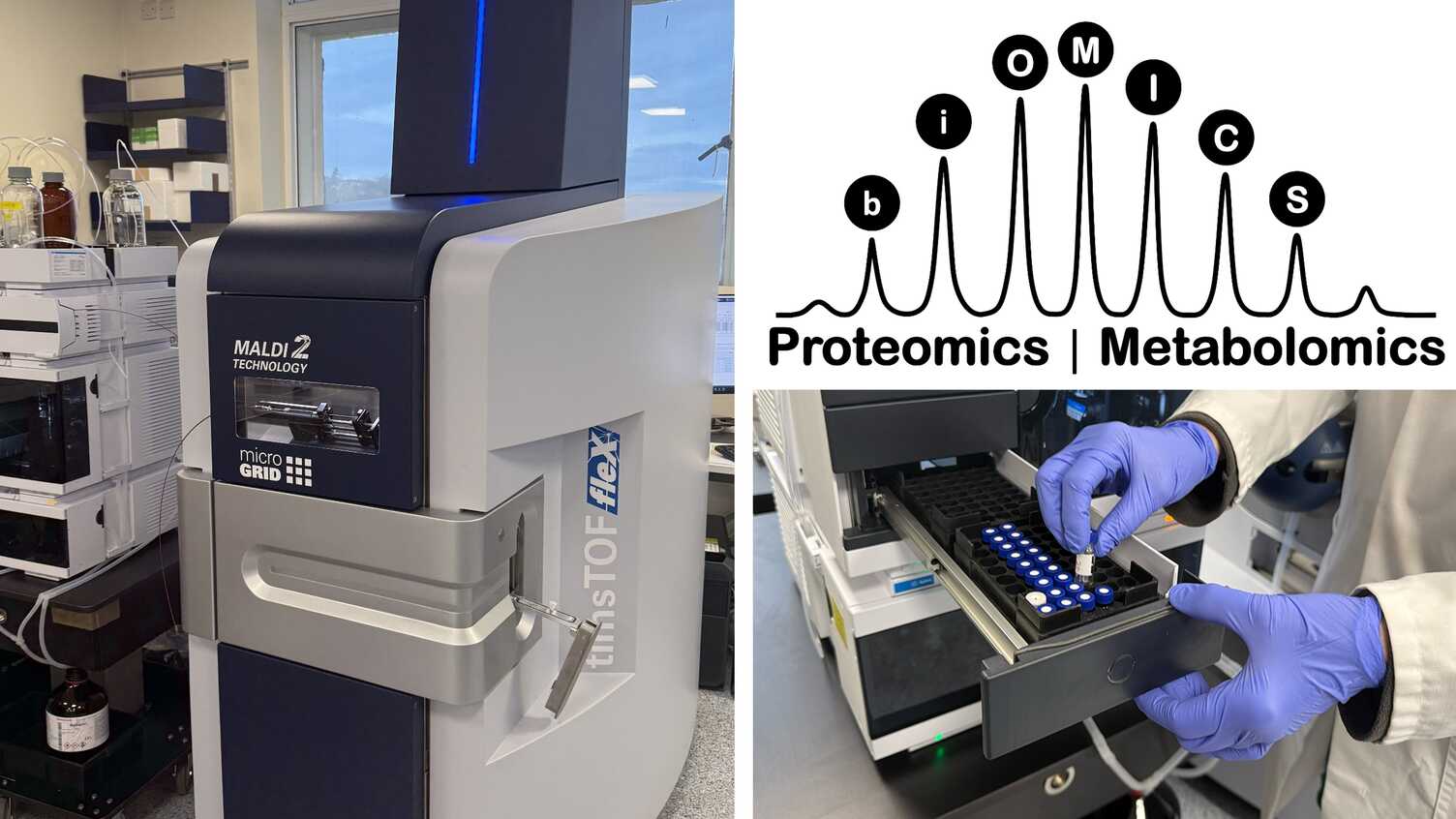 Faculty of Science Mass Spectrometry Centre | Faculty of Science Mass ...